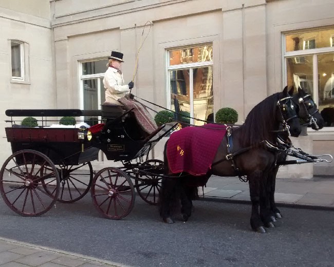 Horse and Carriage Hire | Horse Drawn Carriage Hire